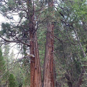 R-RANCH IN THE SEQUOIAS - Updated December 2025 - 73 Photos & 29 ...