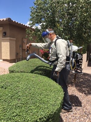 SIMPLY GREEN PEST CONTROL - Updated May 2026 - 47 Photos & 475 Reviews ...