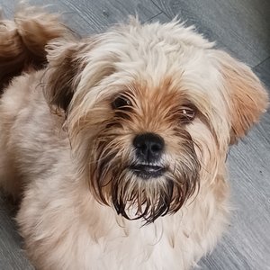 MEMPHIS ANIMAL SERVICES - Updated May 2025 - 20 Photos & 17 Reviews ...