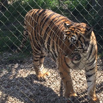 EVERGLADES OUTPOST - Updated December 2025 - 371 Photos & 102 Reviews ...