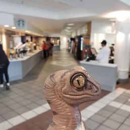 Cleveland Clinic Reviews | Read Customer Service Reviews of ...