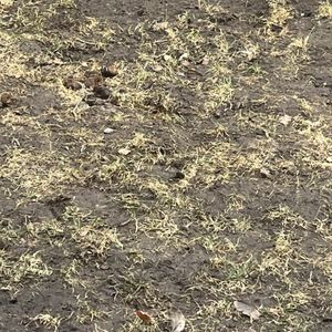 EQUUS MANAGEMENT GROUP - Updated December 2025 - Request Consultation ...