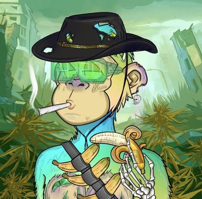 FIRST STATE COMPASSION - WILMINGTON - Updated April 2025 - 25 Photos ...