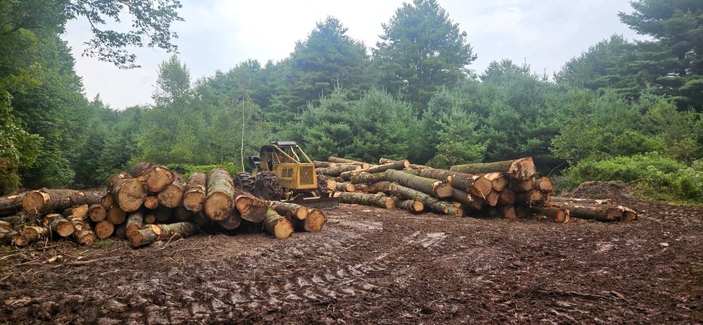 AB LOGGING - Updated September 2025 - Request a Quote - 10 Photos ...
