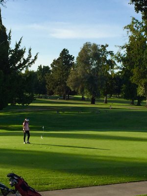 ANCIL HOFFMAN GOLF COURSE - 62 Photos & 66 Reviews - 6700 Tarshes Dr ...
