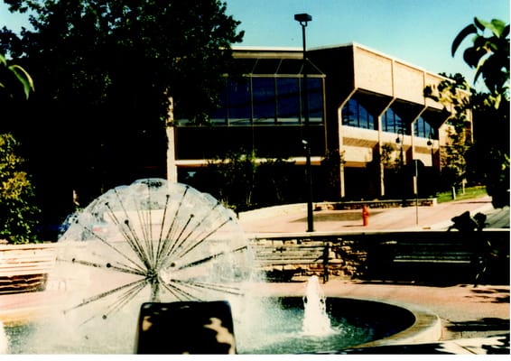 NAPERVILLE PUBLIC LIBRARY - NICHOLS LIBRARY - Updated August 2025 - 44 ...