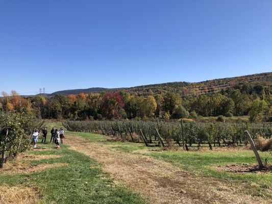 FISHKILL FARMS - 647 Photos & 239 Reviews - 9 Fishkill Farm Rd ...