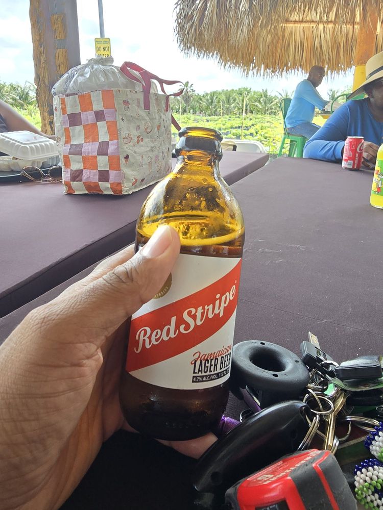 FARM VIBES - Updated January 2025 - 9370 87th Pl S, Boynton Beach ...