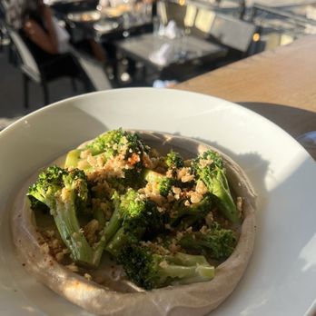 WYNONA - Updated December 2025 - 179 Photos & 70 Reviews - 819 Gerrard ...