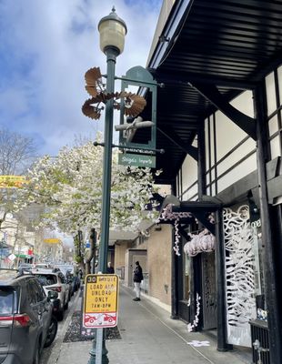 SHIGA’S IMPORTS - Updated October 2025 - 38 Photos & 49 Reviews - 4306 ...