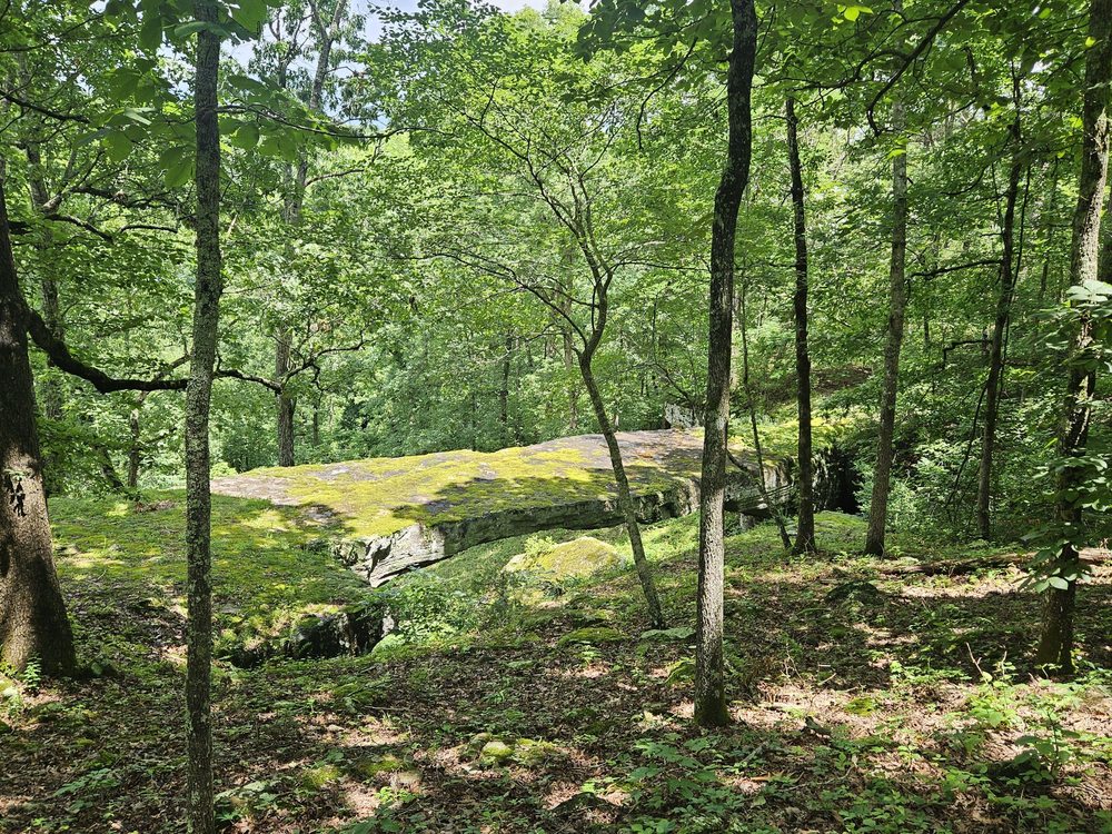 NATURAL BRIDGE - Updated December 2025 - 39 Photos & 16 Reviews - 1120 ...