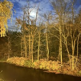 WILLOWTREE INN RESTAURANT - Updated August 2025 - 108 Photos & 132 ...