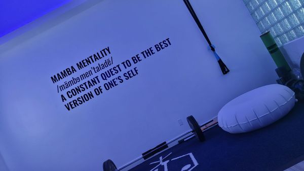 MUSCLE LAB - Updated December 2025 - 151 Photos & 113 Reviews - 2381 E ...