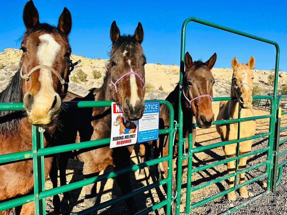 DIXIE TRAIL RIDES - Updated January 2026 - Request a Quote - St. George ...