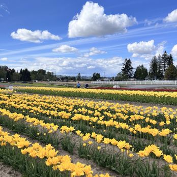 KNUTSON FARMS - Updated August 2025 - 154 Photos & 41 Reviews - 16406 ...