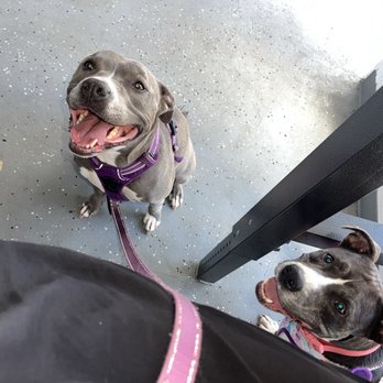 HOWZIT BREWING - Updated July 2024 - 73 Photos & 28 Reviews - 330 ...