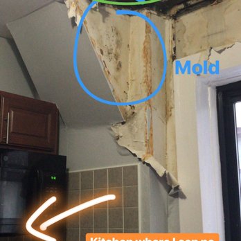 SHAMCO MANAGEMENT - Updated October 2025 - 234 Photos & 31 Reviews ...