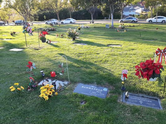 EL TORO MEMORIAL PARK - Updated December 2024 - 88 Photos & 27 Reviews ...