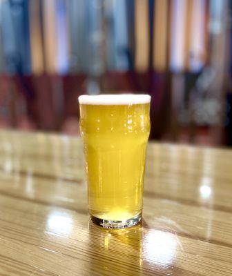 ALMOST FAMOUS BREWING COMPANY - Updated November 2025 - 87 Photos & 19 ...