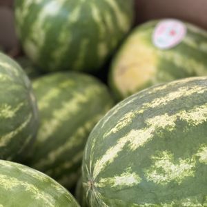 BIG SQUARE - Updated December 2025 - 164 Photos & 155 Reviews - 831 N ...