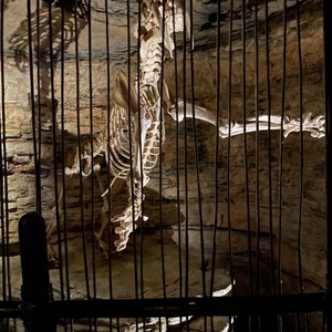 PENNY HARDESTY - STATE FARM INSURANCE AGENT - Updated August 2025 - 20 ...