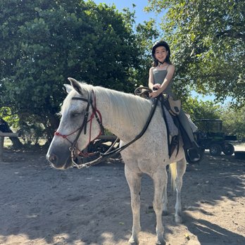 PALOMINO RANCH & TOURS - Updated September 2025 - 48 Photos & 19 ...