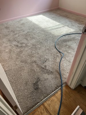 PENINSULA CARPET AND TILE CLEANING - Updated June 2026 - 127 Photos ...