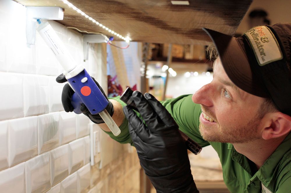 PEST & POLLINATOR - Updated July 2025 - 10 Photos - Portland, Oregon ...