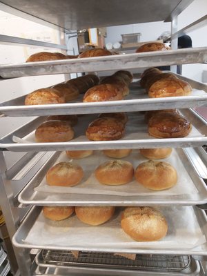 MONK 10 TAPROOM & FINE EATERY - Updated March 2025 - 19 Photos - 40 ...