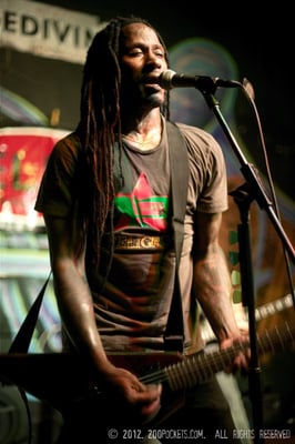 924 GILMAN - Updated May 2024 - 67 Photos & 95 Reviews - 924 Gilman St ...