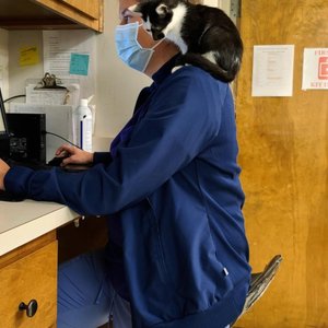 MONROE ROAD ANIMAL HOSPITAL - Updated August 2025 - 21 Photos & 65 ...