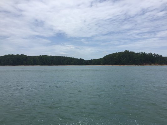BALD RIDGE MARINA - Updated September 2025 - 1850 Bald Ridge Marina Rd ...