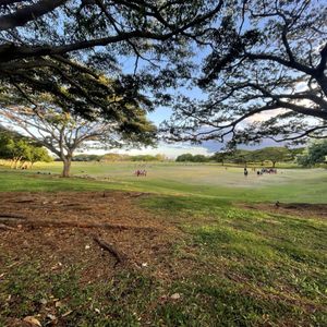 PATSY T. MINK CENTRAL OAHU REGIONAL PARK - 584 Photos & 98 Reviews - 94 ...
