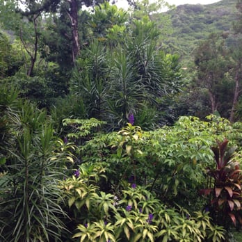 PALOLO VALLEY - Updated December 2025 - 72 Photos & 12 Reviews ...