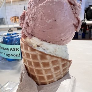WILD SCOOPS - 167 Photos & 113 Reviews - 530 E Benson Blvd, Anchorage ...