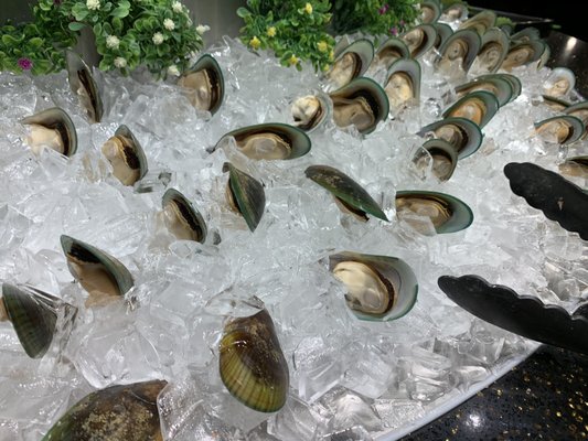 A+ BUFFET SUSHI & BAR - 87 Photos & 68 Reviews - 6712 Macleod Trail SE ...