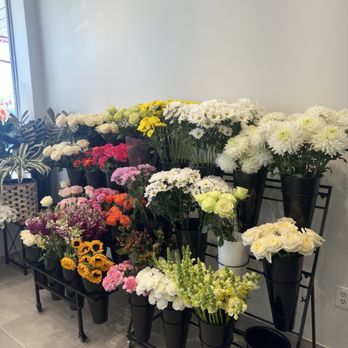 CYMNOW FLOWERS - Updated February 2025 - 156 Photos & 37 Reviews - 6757 ...