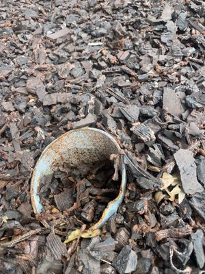 MIAMI MANAGEMENT - Updated July 2025 - 13 Photos & 91 Reviews - 1145 ...