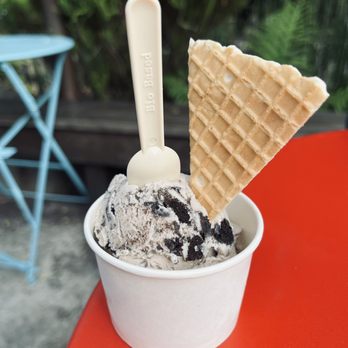 ISCREAM - Updated June 2024 - 47 Photos & 19 Reviews - 1809 Fourth St ...