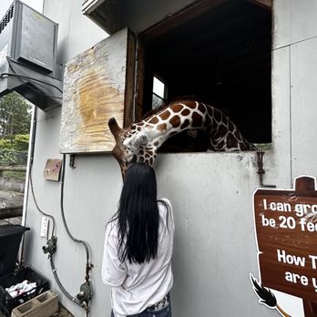 ALOHA SAFARI PARK - Updated May 2025 - 397 Photos & 174 Reviews - 159 ...