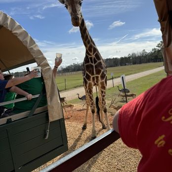 GLOBAL WILDLIFE CENTER - Updated July 2025 - 597 Photos & 145 Reviews ...