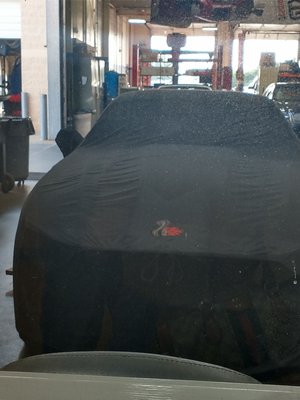 TASCA AUTOMOTIVE GROUP - Updated July 2025 - 199 Photos & 255 Reviews ...