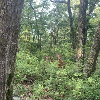 WORTHINGTON STATE FOREST - Updated October 2025 - 182 Photos & 50 ...