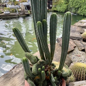 ISAAC FARMS - Updated January 2026 - 456 Photos & 113 Reviews - 18800 ...