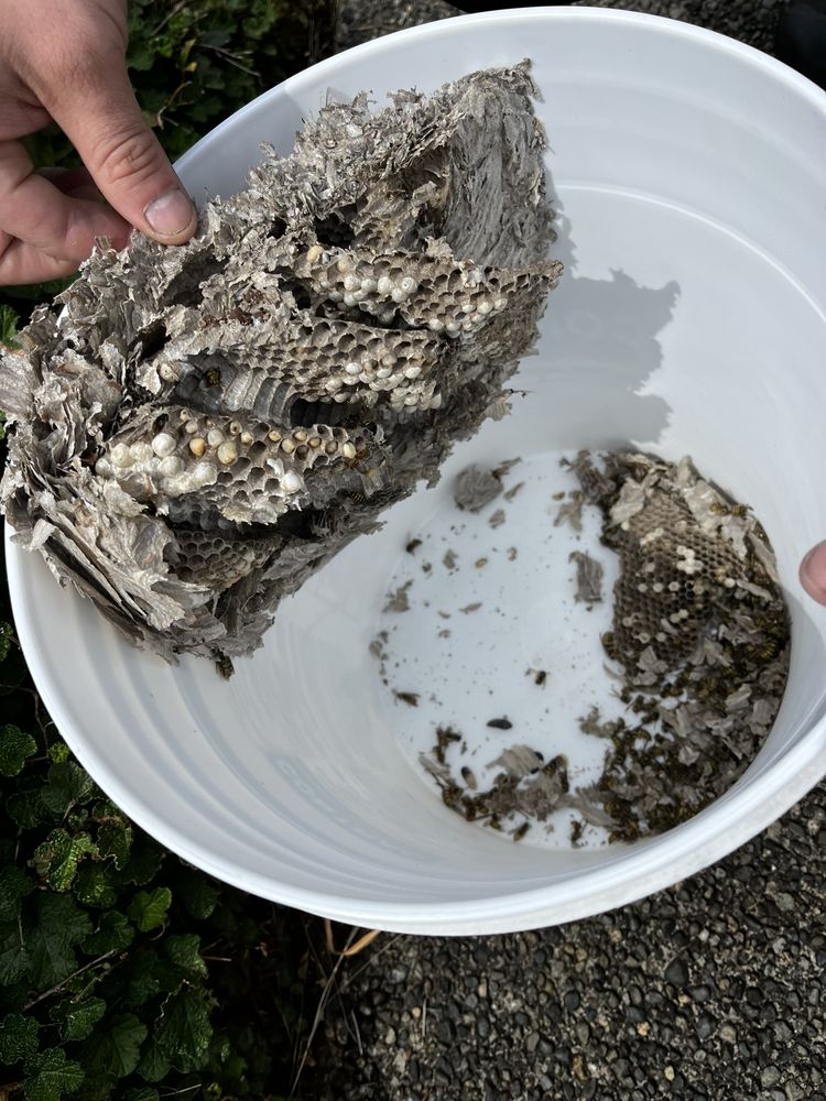 BUGNATION - Updated December 2025 - 38 Photos & 28 Reviews - 1633 N ...