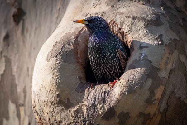 QUEENS ZOO - Updated December 2025 - 1132 Photos & 224 Reviews - 5351 ...