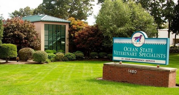 OCEAN STATE VETERINARY SPECIALISTS - Updated December 2025 - 108 Photos ...