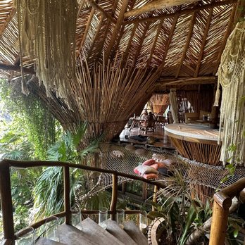 KIN TOH - Updated January 2025 - 848 Photos & 284 Reviews - Carretera ...