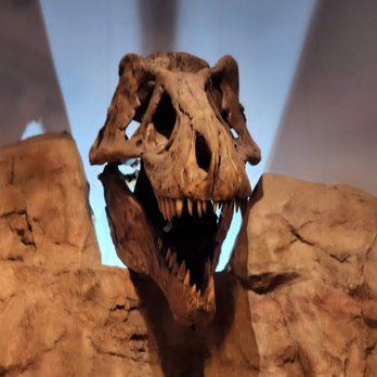 WESTERN SCIENCE CENTER - Updated February 2025 - 229 Photos & 72 ...