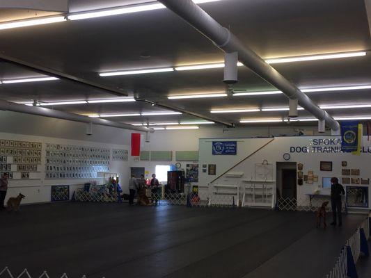 SPOKANE DOG TRAINING CLUB - Updated January 2026 - 2620 N Locust Rd ...